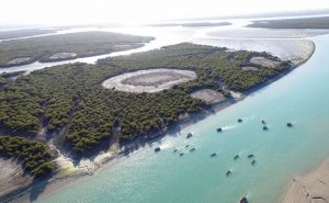 Things You Need to Know about Qeshm Island Destination | Legendaryiran